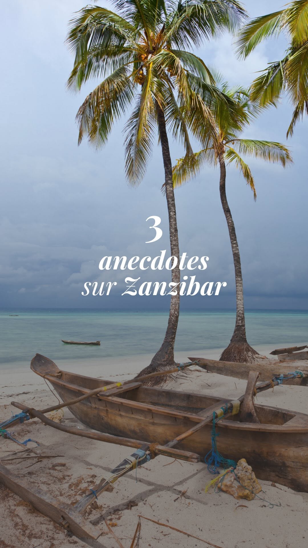 Zanzibar : 3 Anecdotes sur l’Île aux Épices 🇹🇿