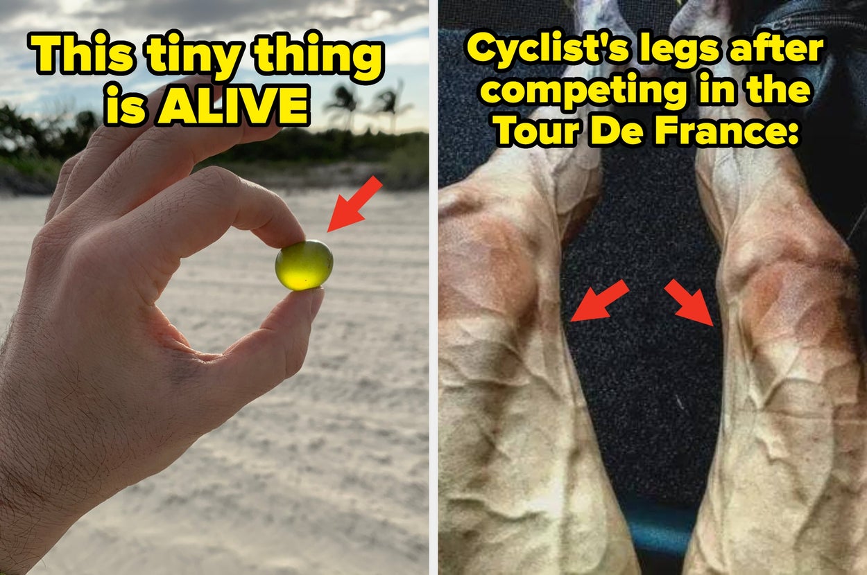 I Just Spent The Past 15 Minutes With My Jaw On The Floor After Looking ...