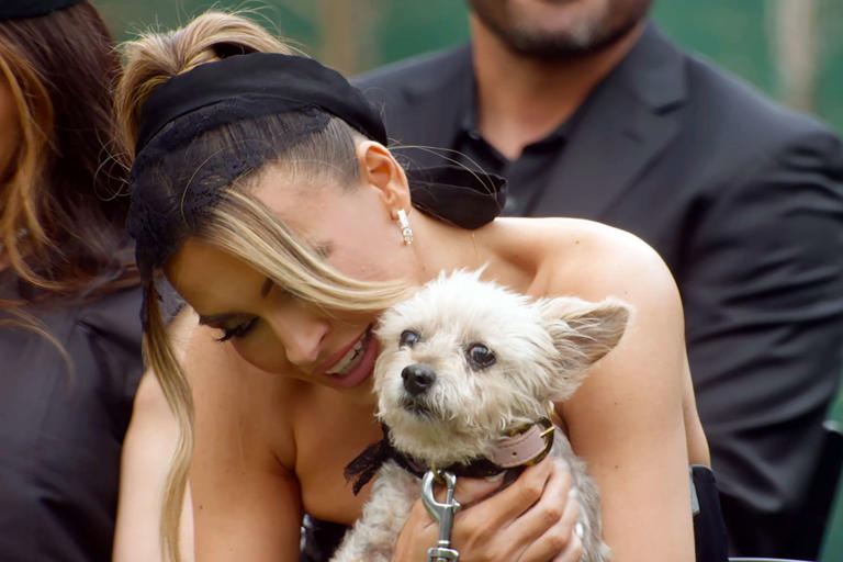 Chrishell Stause announces death of her beloved dog Gracie