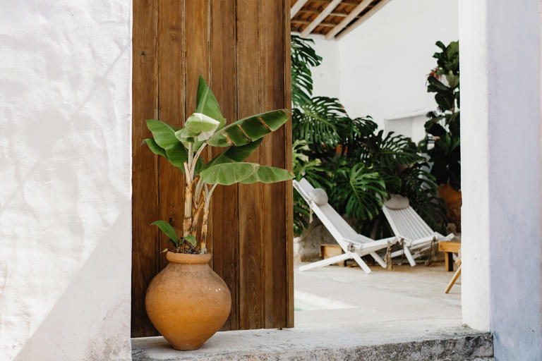 How a Garden Screen Can Make Your Decking Feel Bigger and More Private