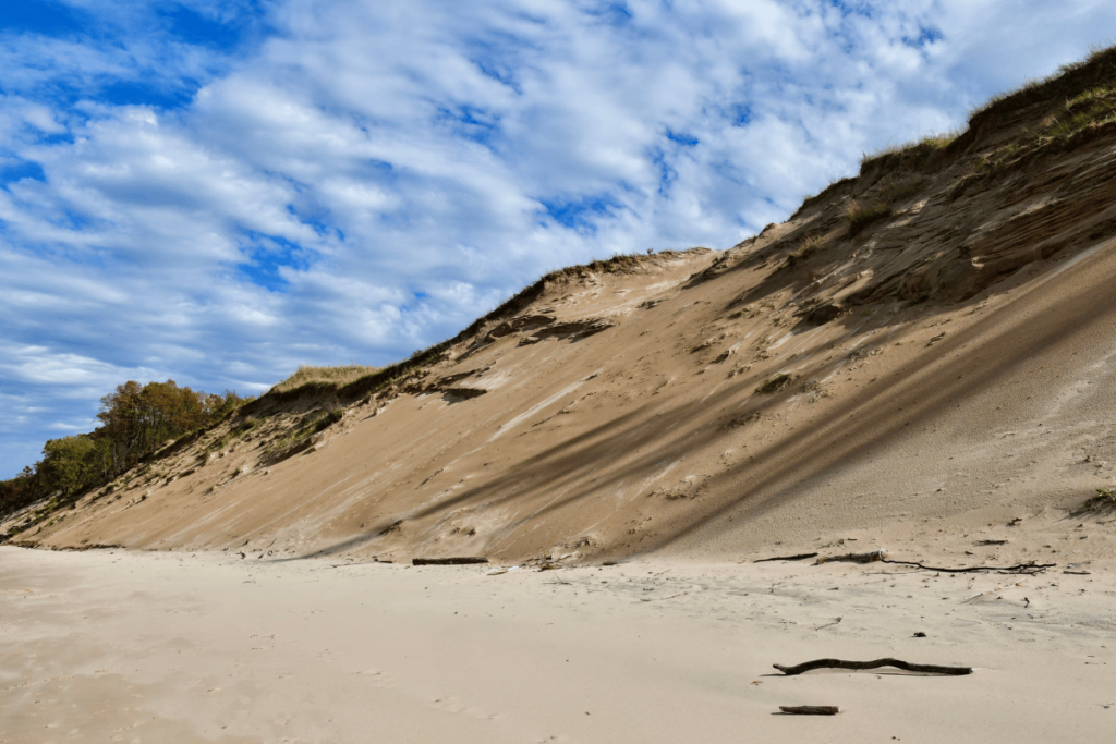 12 Hidden Wonders: Exploring the Shifting Sand Dunes at Indiana Dunes