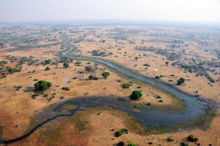 The Okavango Delta, Where Climate Change Is A Blatant And Brutal Reality