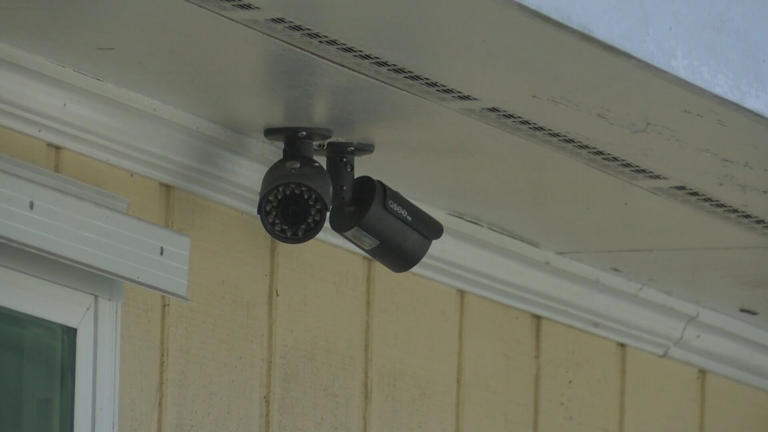 New Hanover Co. Schools wants to hear from you about potential AI ...