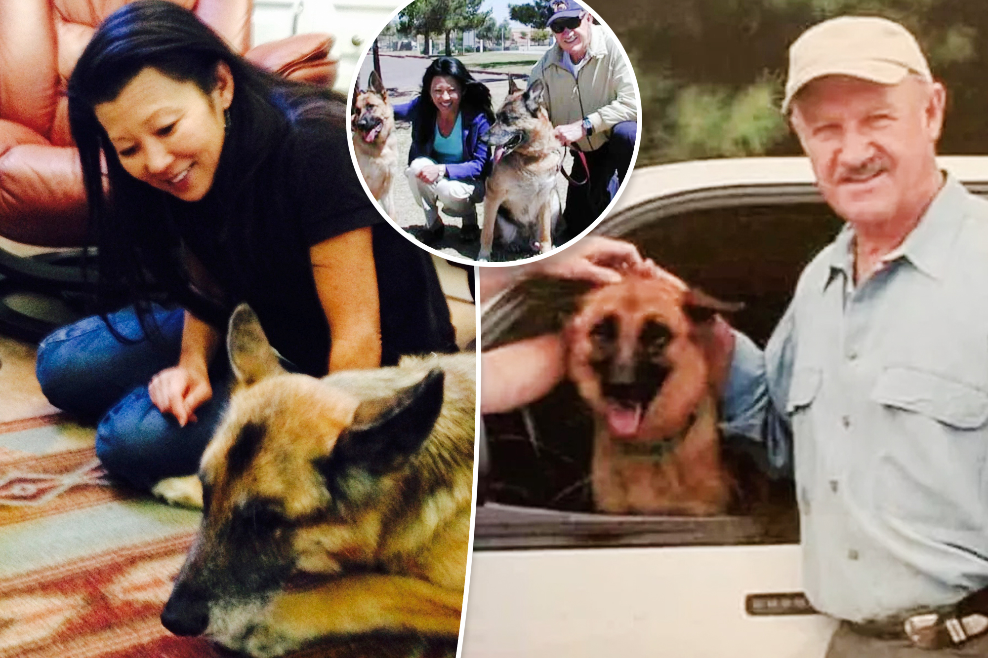 Fate of Gene Hackman and Betsy Arakawa’s surviving dogs revealed after ...