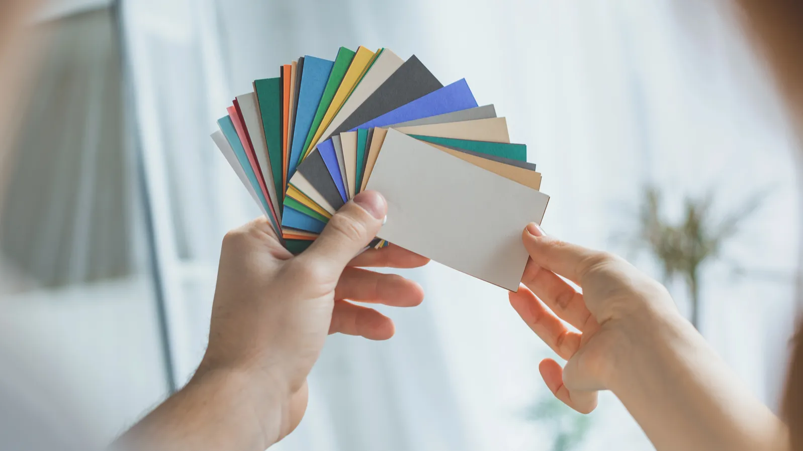 2025’s First Color Forecast You Need to See