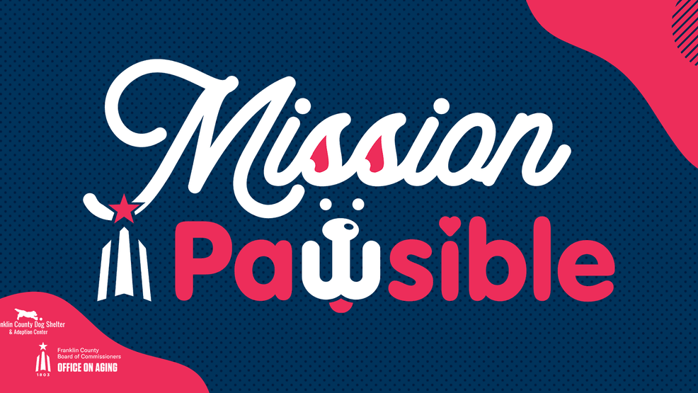 Mission Pawsible aims to connect senior citizens with senior dogs