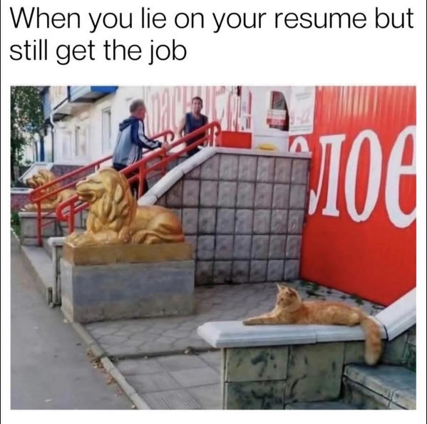 45 Hissterically Funny Cat Memes That’ll Leave You Feline Fine (March ...