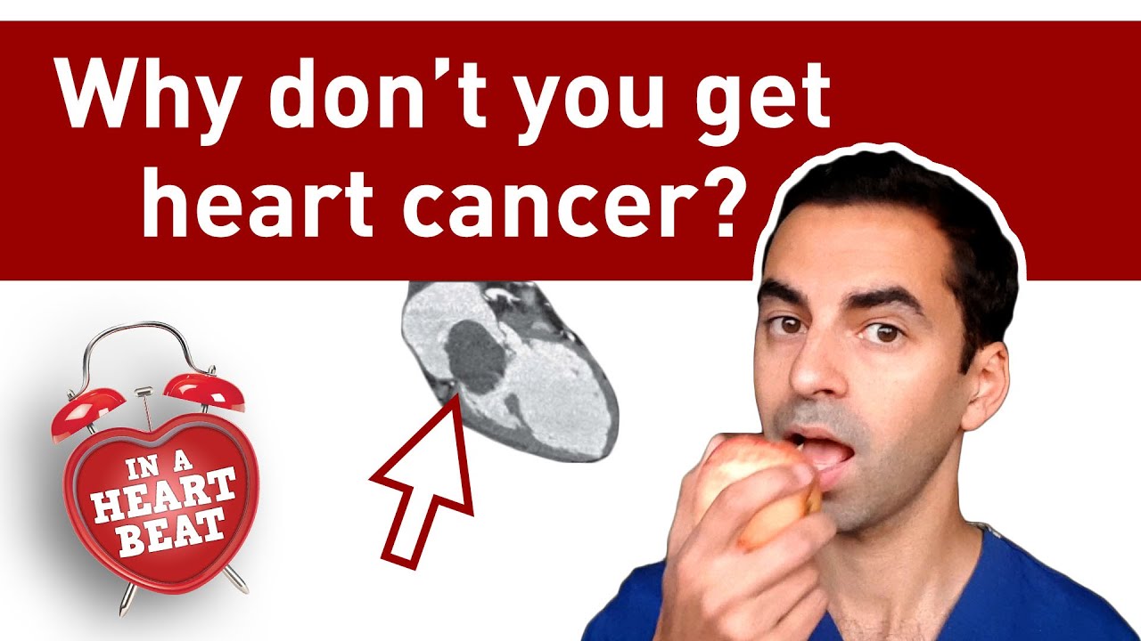 Why don't people get heart cancer
