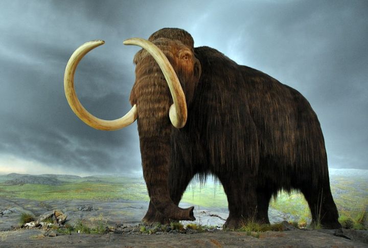 15 Illustrations By Jay Matterne That Bring Prehistoric Life To Light