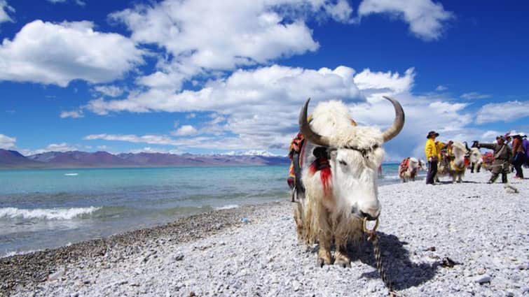 Discover The Breathtaking Beauty Of Sikkim