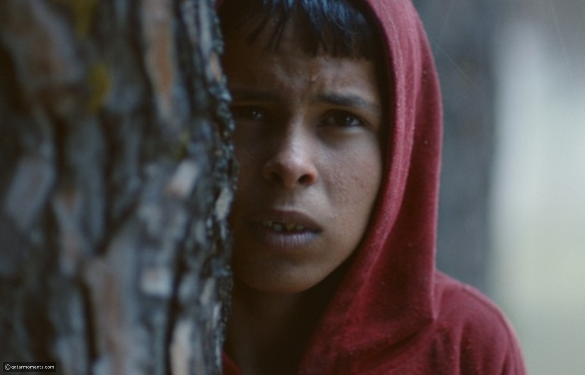 Lights, Camera, Action! Films to be Screened at Qumra 2025