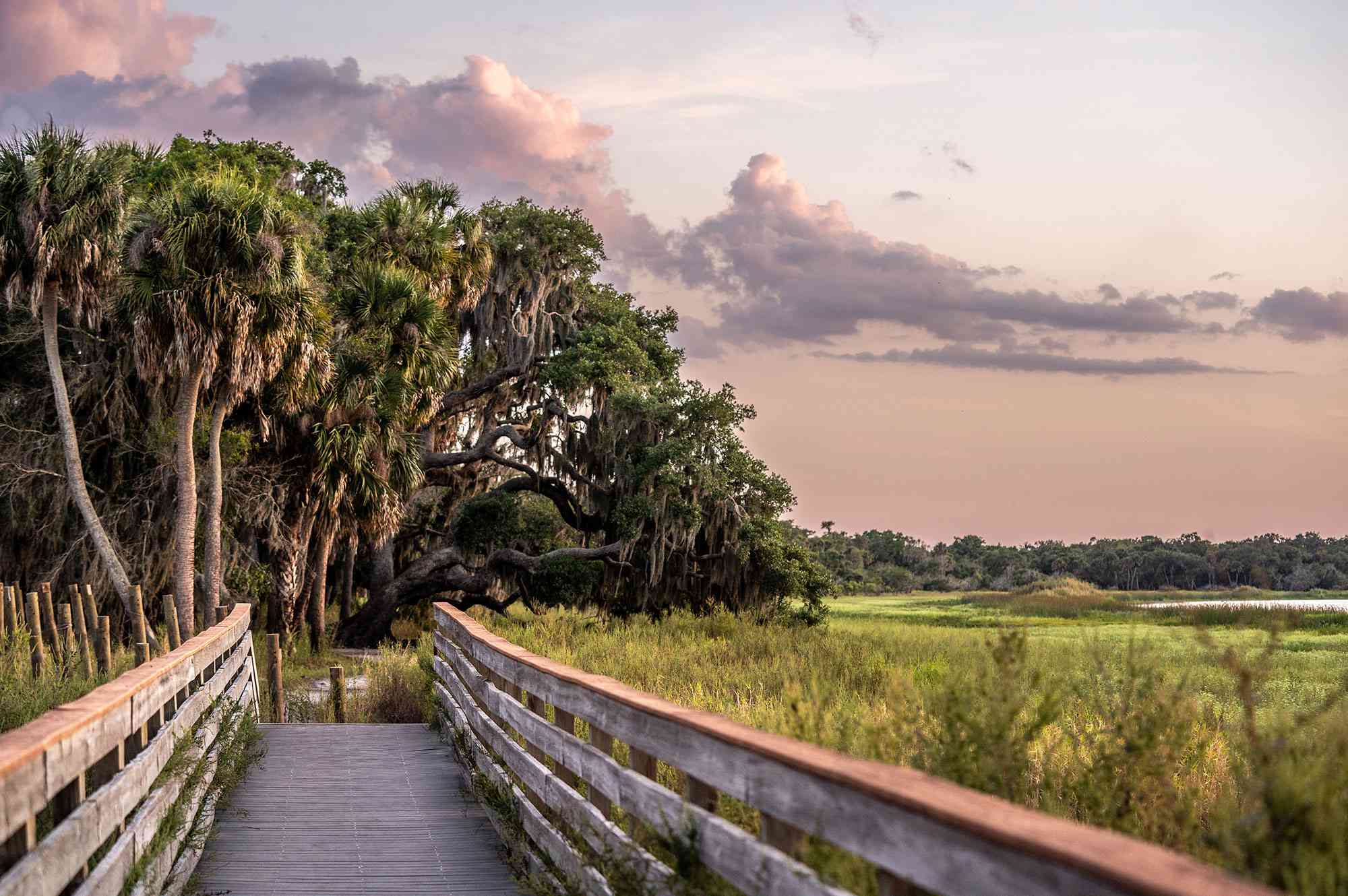 This Florida State Park Has Lush Wetlands, Wildflower-laced Prairies ...