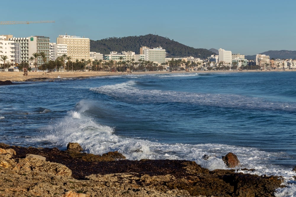 Countdown begins for Spanish packaging reporting deadline