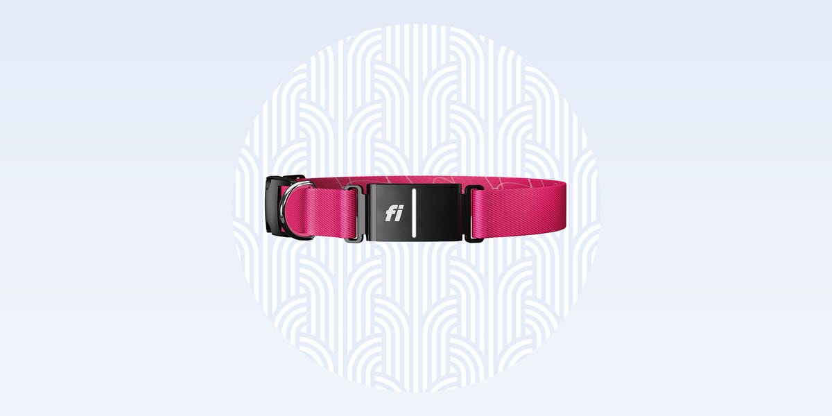 This Smart Dog Collar Is Actually Worth It