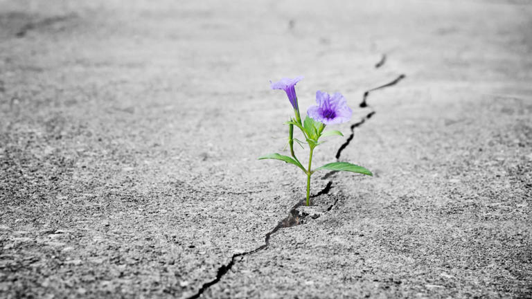 This is how and when you should show vulnerability at work