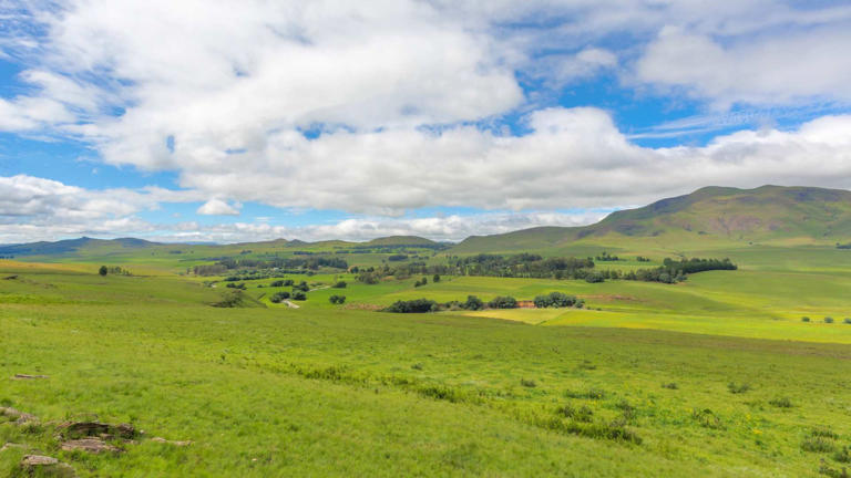 Le ministère de la Défense ukrainien approuve l’utilisation du robot de ...