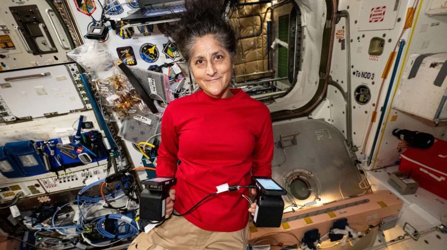 Historia de vida: quiénes son Butch Wilmore y Suni Williams, los ...