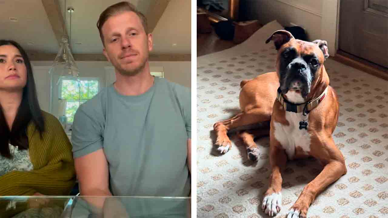 Video: Sean Lowe onthult dat hij twee keer in 12 uur werd aangevallen ...