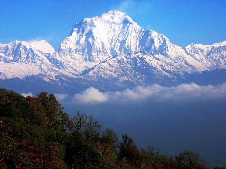 Giganten der Erde: Die 11 höchsten Berge der Welt