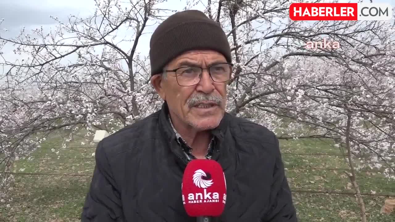 Malatya'da Zirai Don Tehdidi: Çiftçilere Duman Perdesi Önerisi