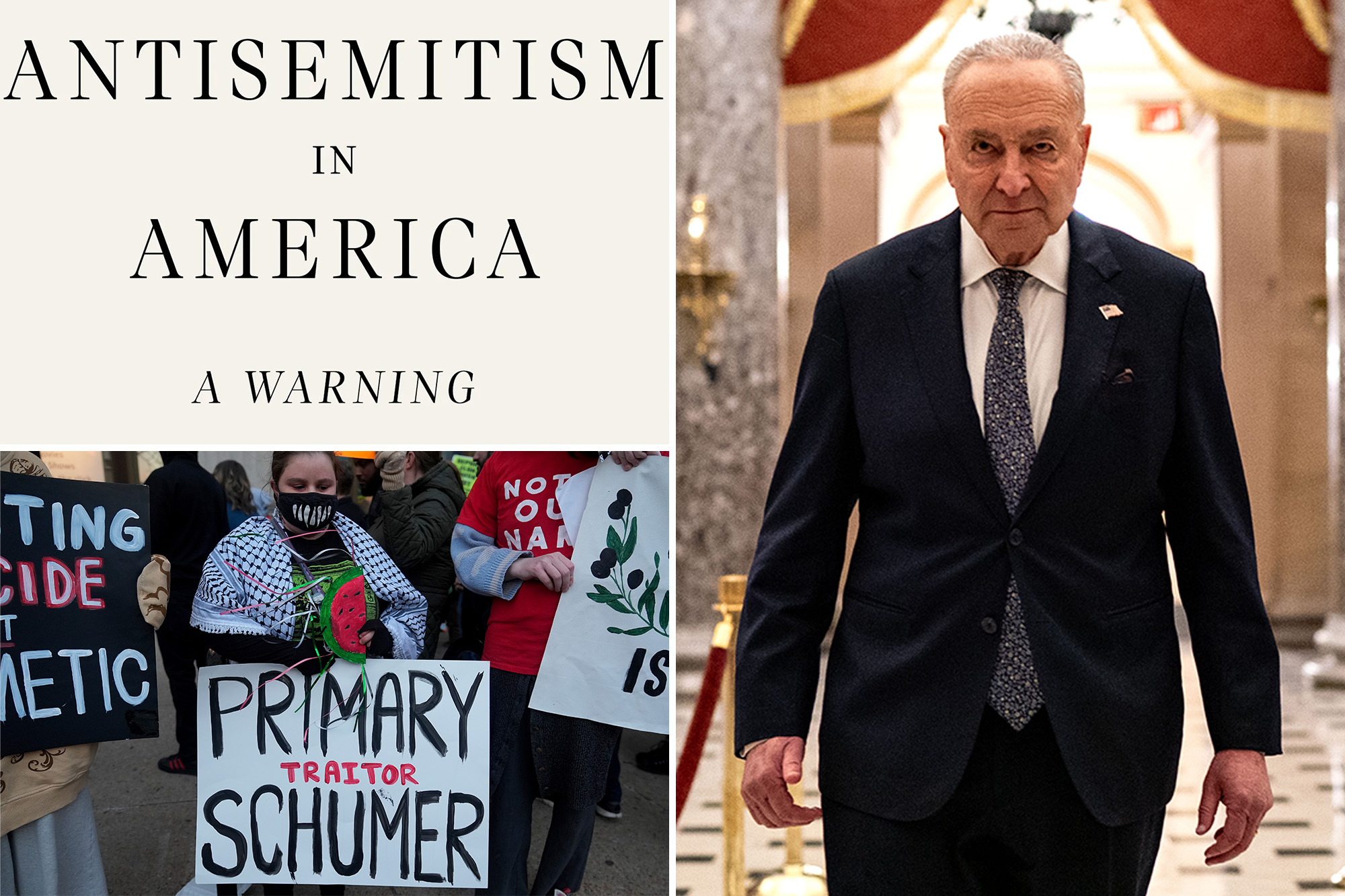 Chuck Schumer links rise in left-wing antisemitism to 2008 crisis ...