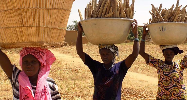 ECOWAS urges swift action as West Africa faces escalating food crisis ECOWAS urges swift action as West Africa faces escalating food crisis