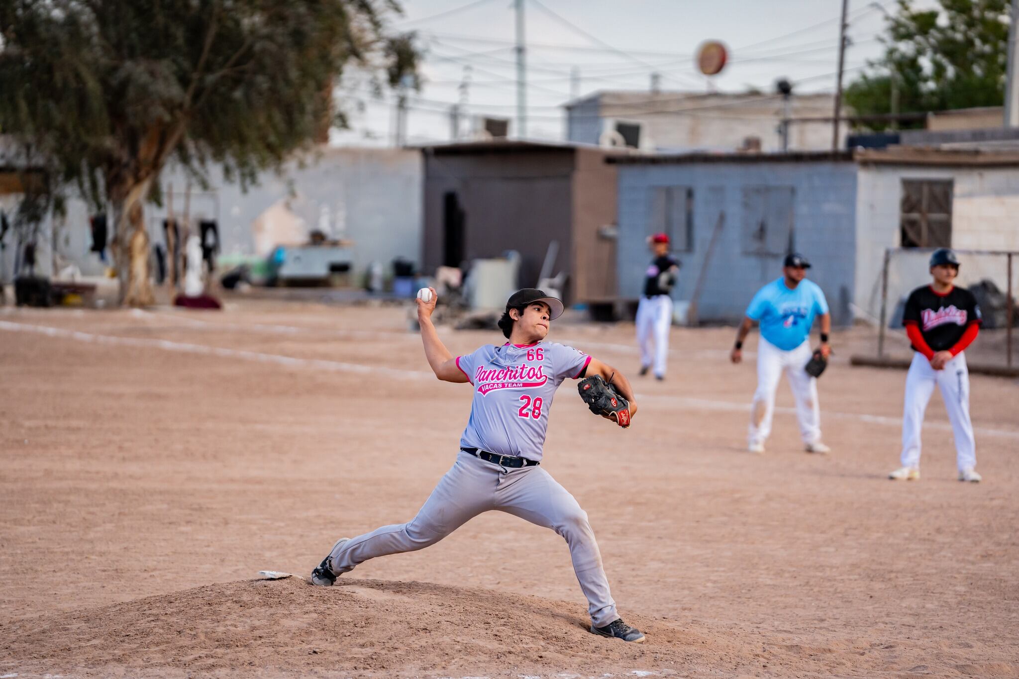 Dividieron en el campo Baja California