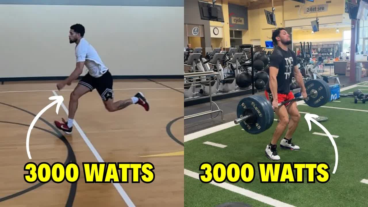 Rogue Rhino Belt Squat Max Power Output