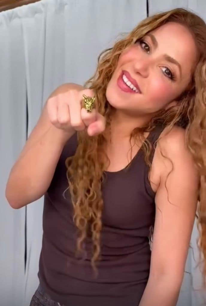 Shakira cumple su promesa y usa el especial regalo que le hizo un fan durante su show en Guadalajara