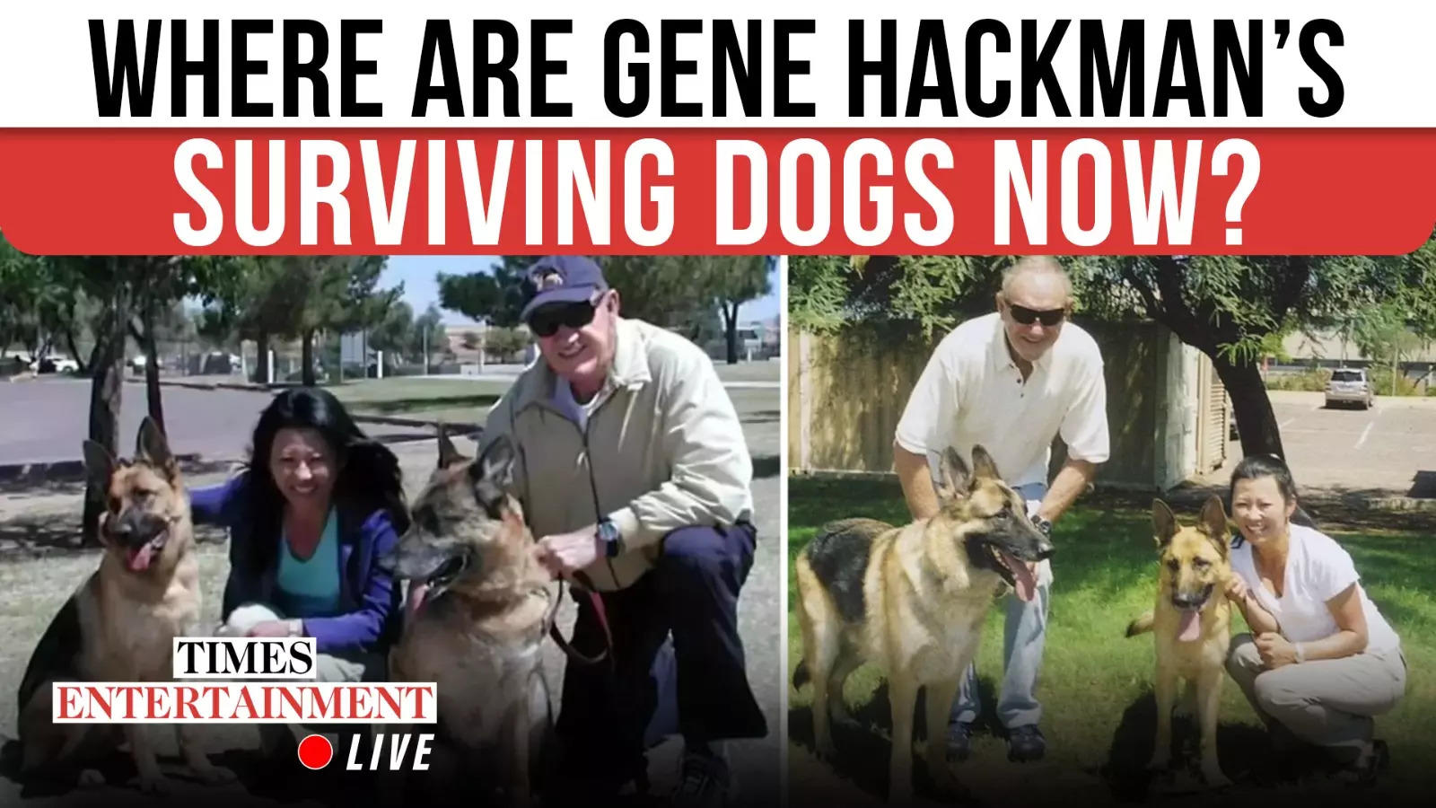 Heartwarming Update On Gene Hackman’s Two Surviving Dogs; Rescuer ...