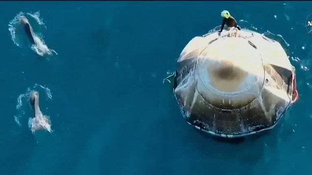 Dolphins surround Dragon space capsule after dramatic splashdown