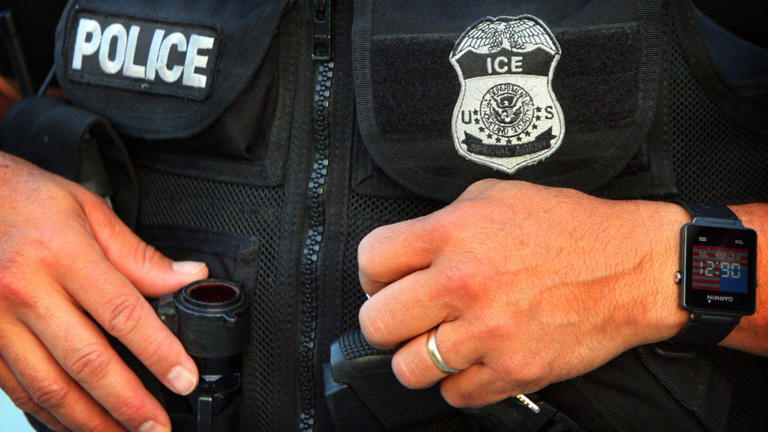 Reports of fake ICE officers, immigration scams on the rise in ...