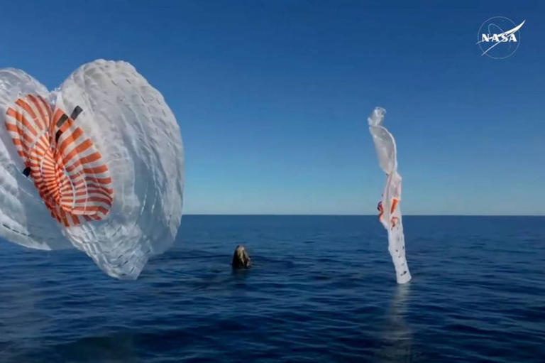 Incredible moment dolphins welcome NASA astronauts home caught on video