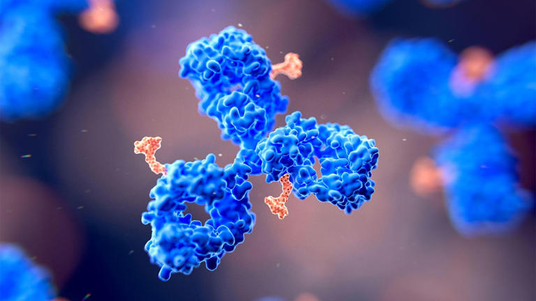 Better Response, Survival in Head and Neck Cancer With Dual Pre-Op ...