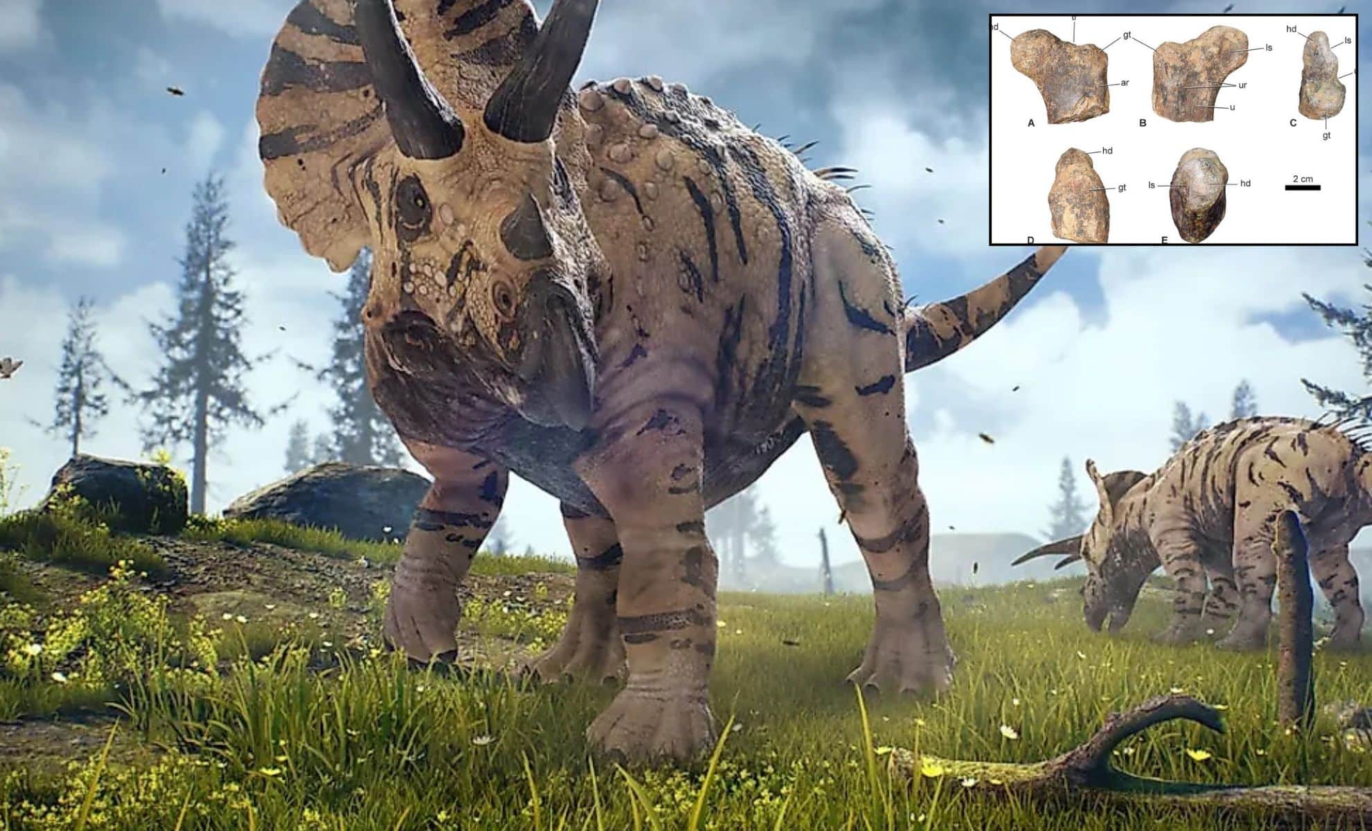 168 Million-Year-Old Dinosaur Fossil Discovered in Morocco Reveals ...