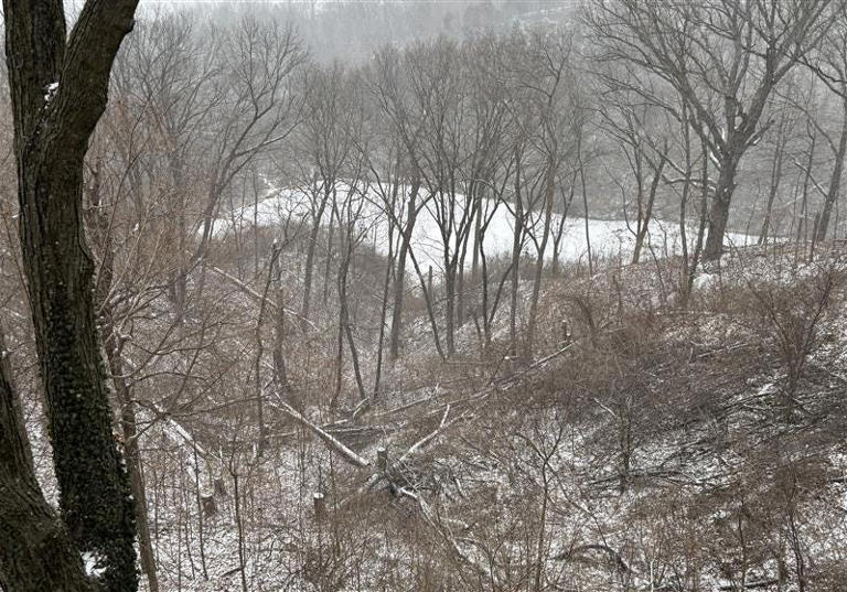 More snow is possible for central Illinois. Here's what to know