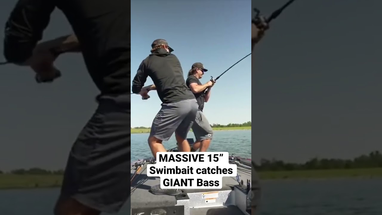 Massive 15-inch swimbait catches giant trophy fish