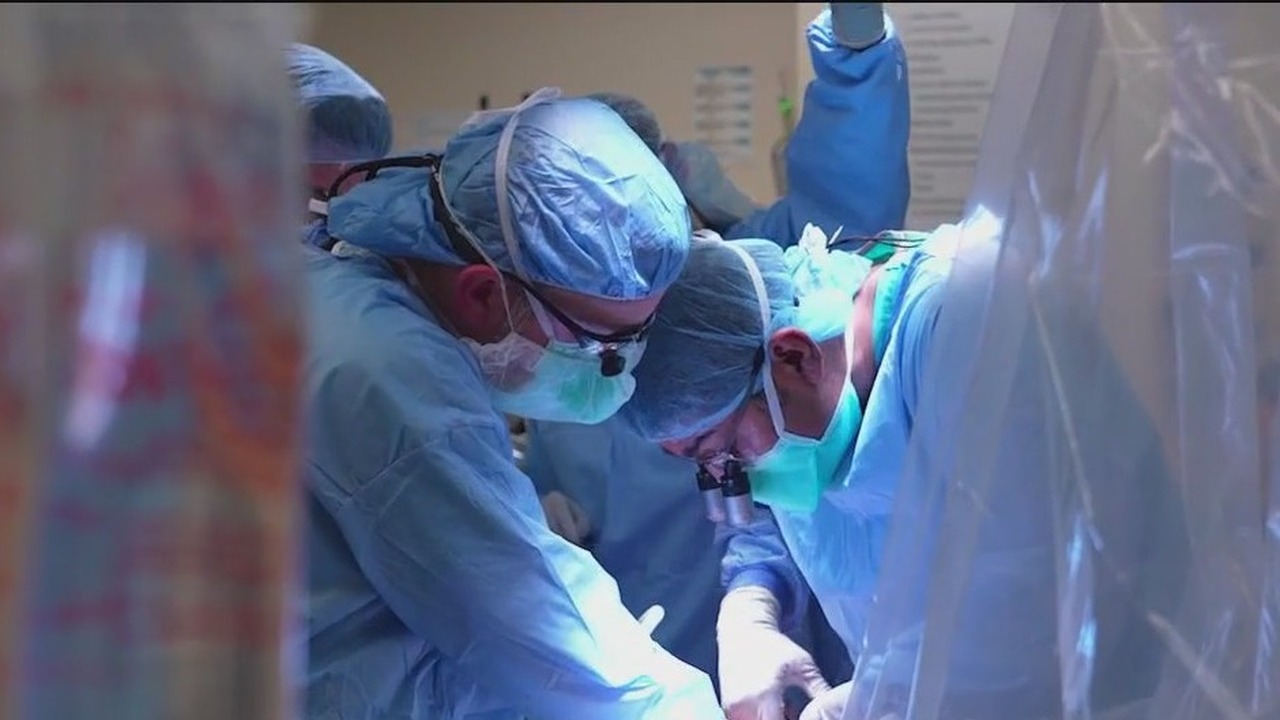 Chicago surgeons perform first-of-its-kind split liver transplant in US