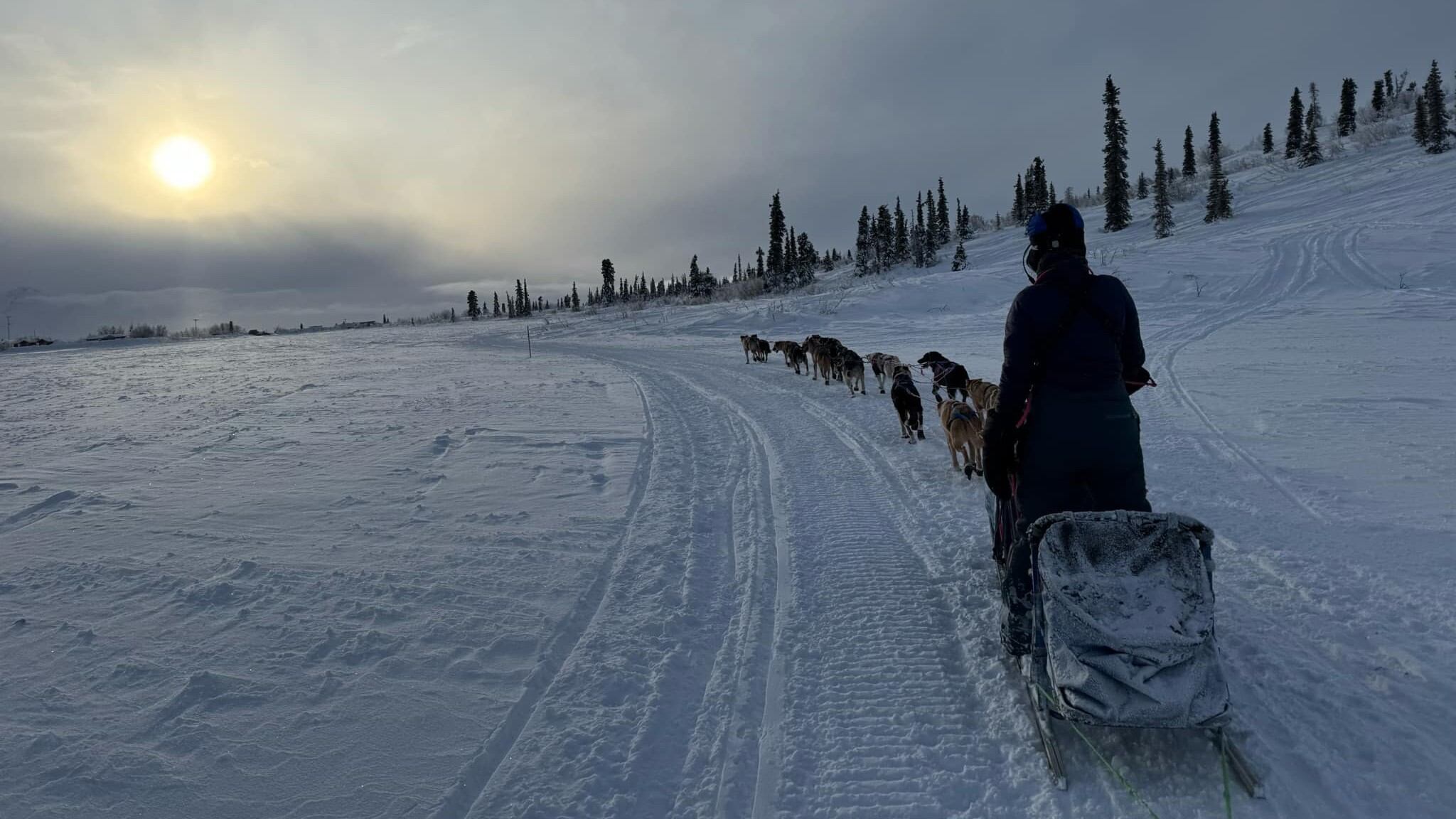 ‘A miraculous bond’: Minot native races in longest Iditarod competition