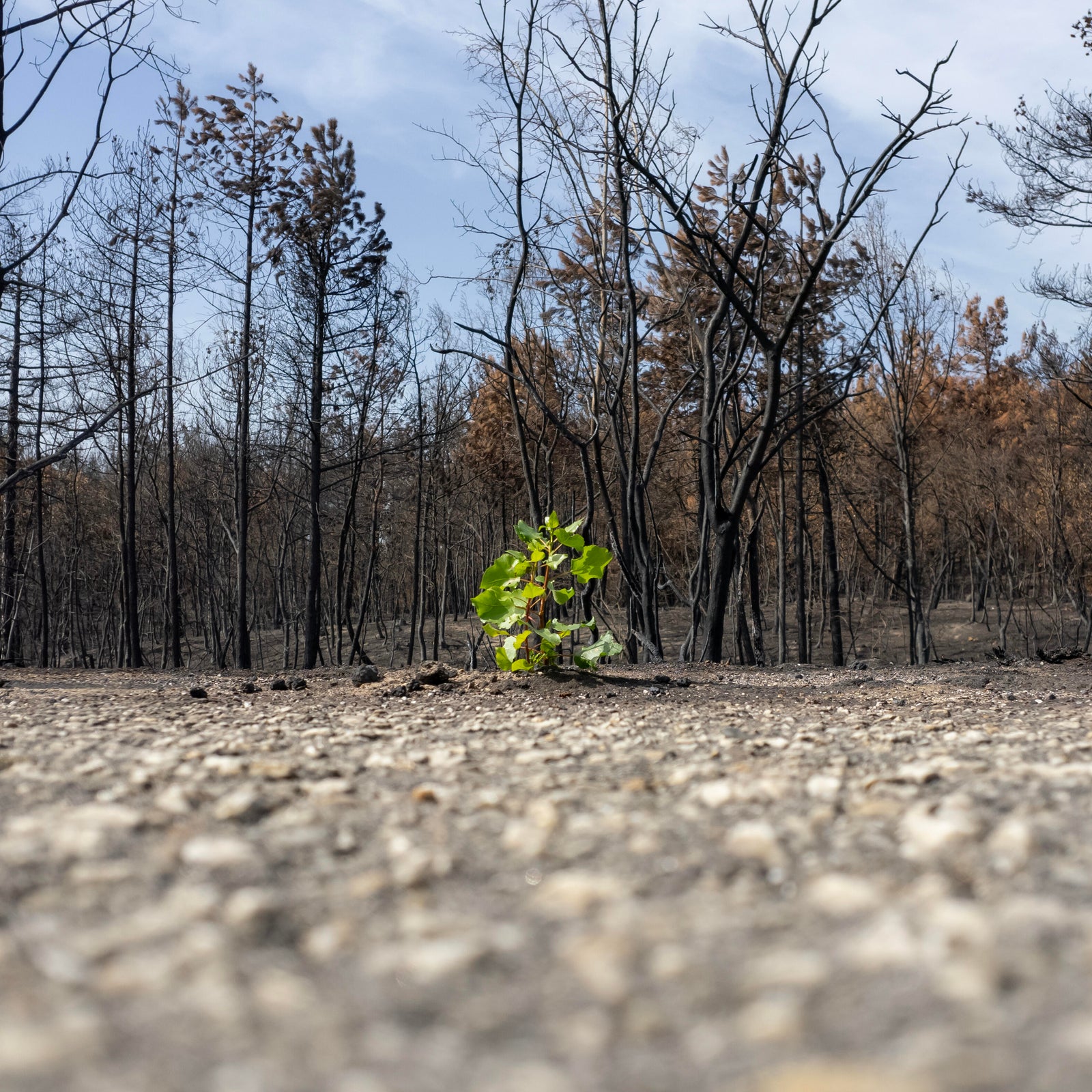 World climate report warns of growing risks to lives, economy, planet