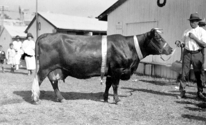 58 Timeless Pics From 100 Years Ago That Show History’s Drip Was Immaculate