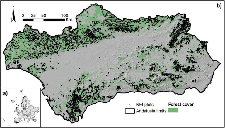 Satellite images reveal how Andalusia's forests have changed over the ...