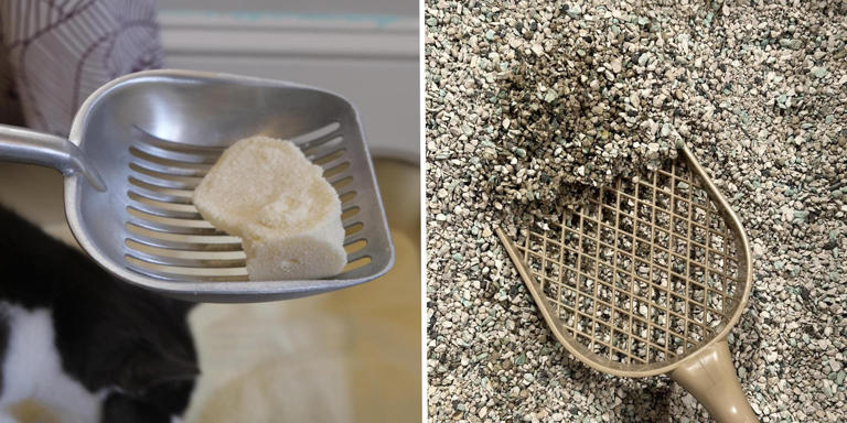 Clumping vs. non-clumping litter: What are the differences?