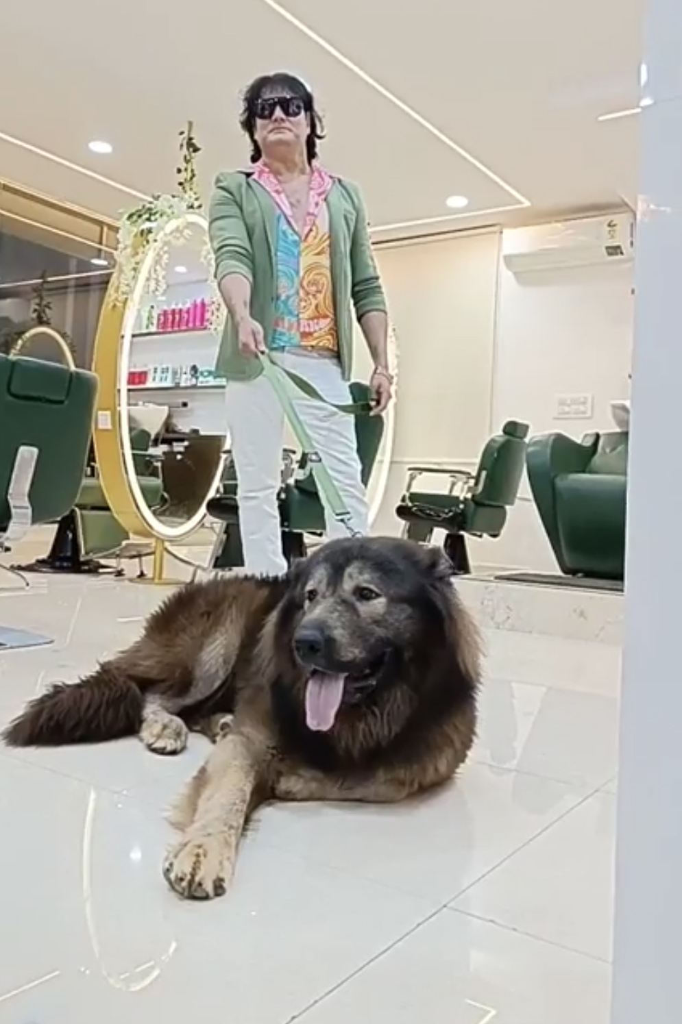 World’s most expensive dog is the first breed of its kind — and it came ...