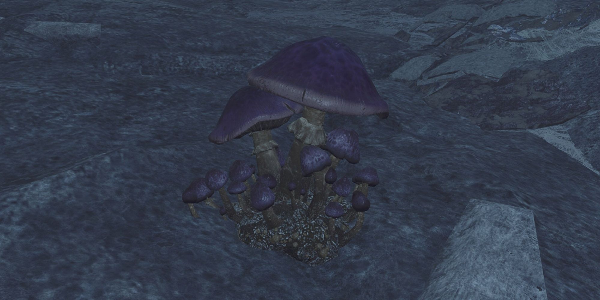 Toadstool Locations in Monster Hunter Wilds
