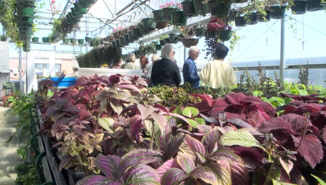 Students help cultivate plants around downtown Athens