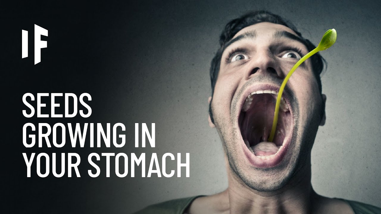 Suppose seeds could grow inside your stomach and create food