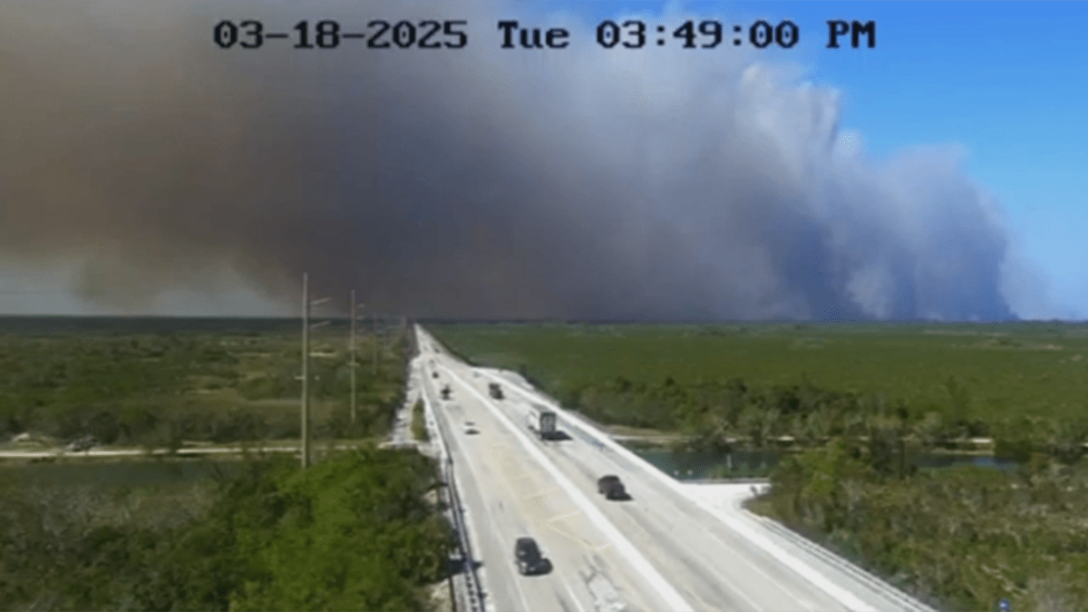 Card Sound Road shut down in both directions as grass fire burns in SW ...