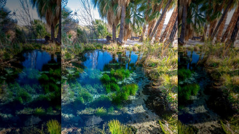 Just Outside Nevada's Valley Of Fire Is A Unique Desert Community Full ...