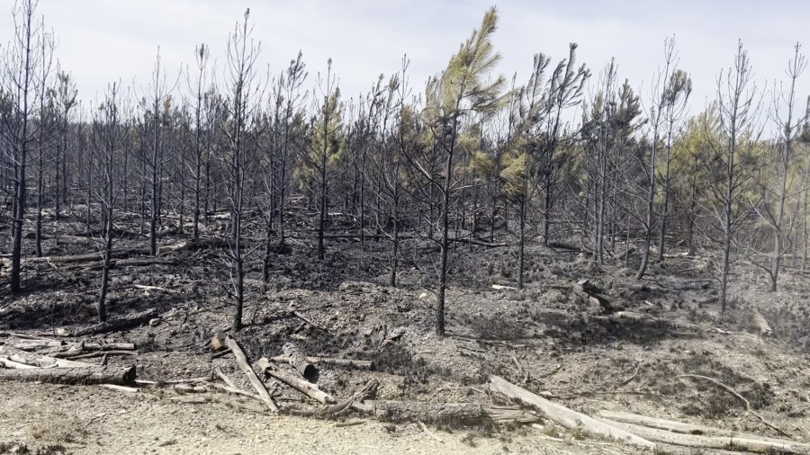 Pulaski County wildfire full contained, burned more than 2,000 acres